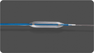 Percutaneous Coronary Intervention - Purple Microport